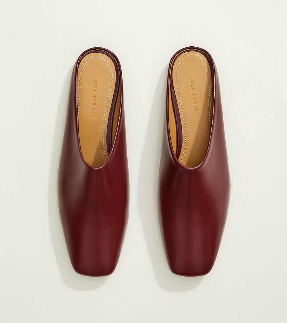 Stella – Jack Erwin