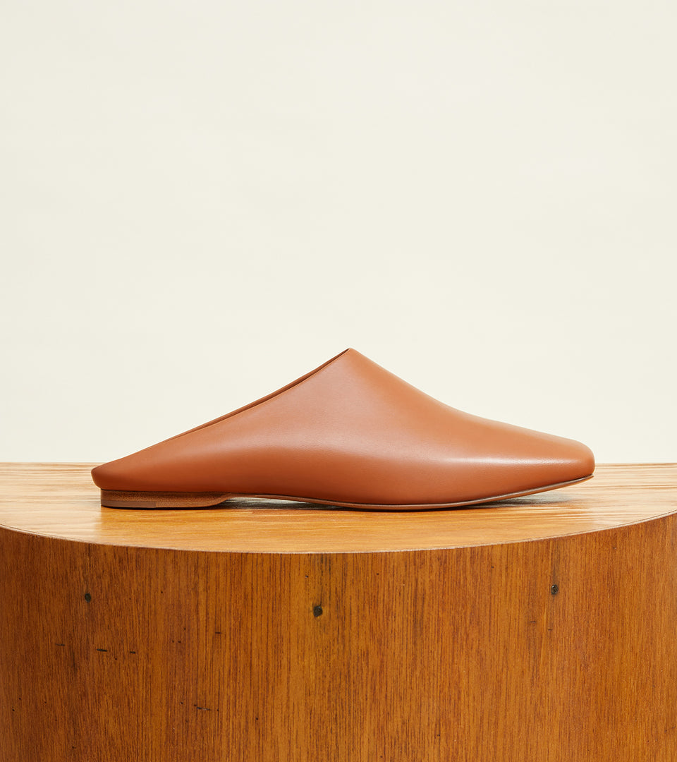 Stella – Jack Erwin